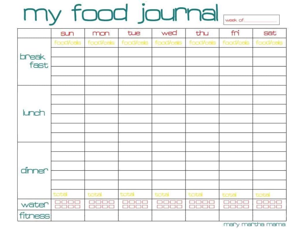 Tracking Your Progress: The Importance of Food Journals - Absolut Director